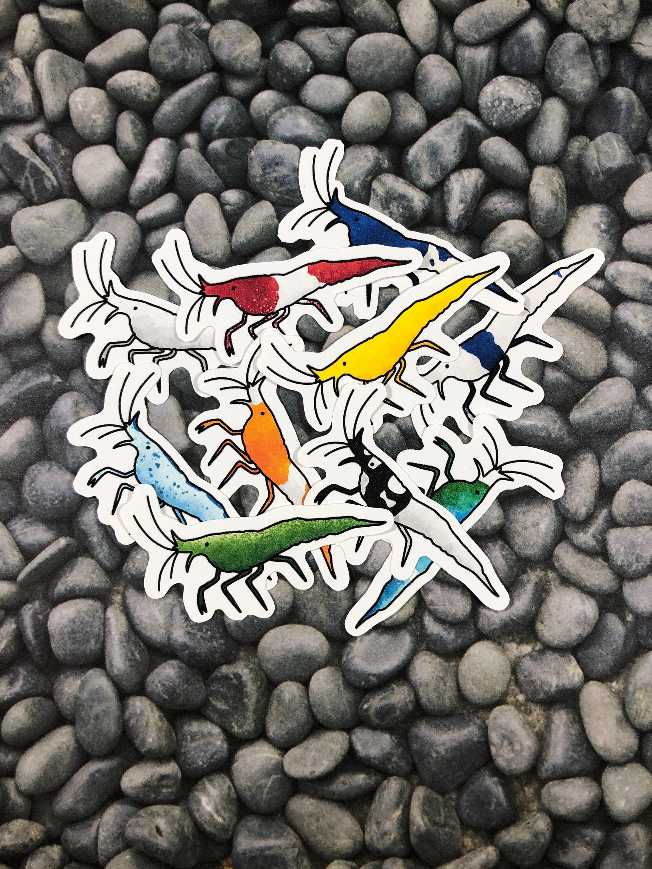 10 pcs Shrimp Stickers Pack B Freshwater Shrimp Shrimp | Etsy