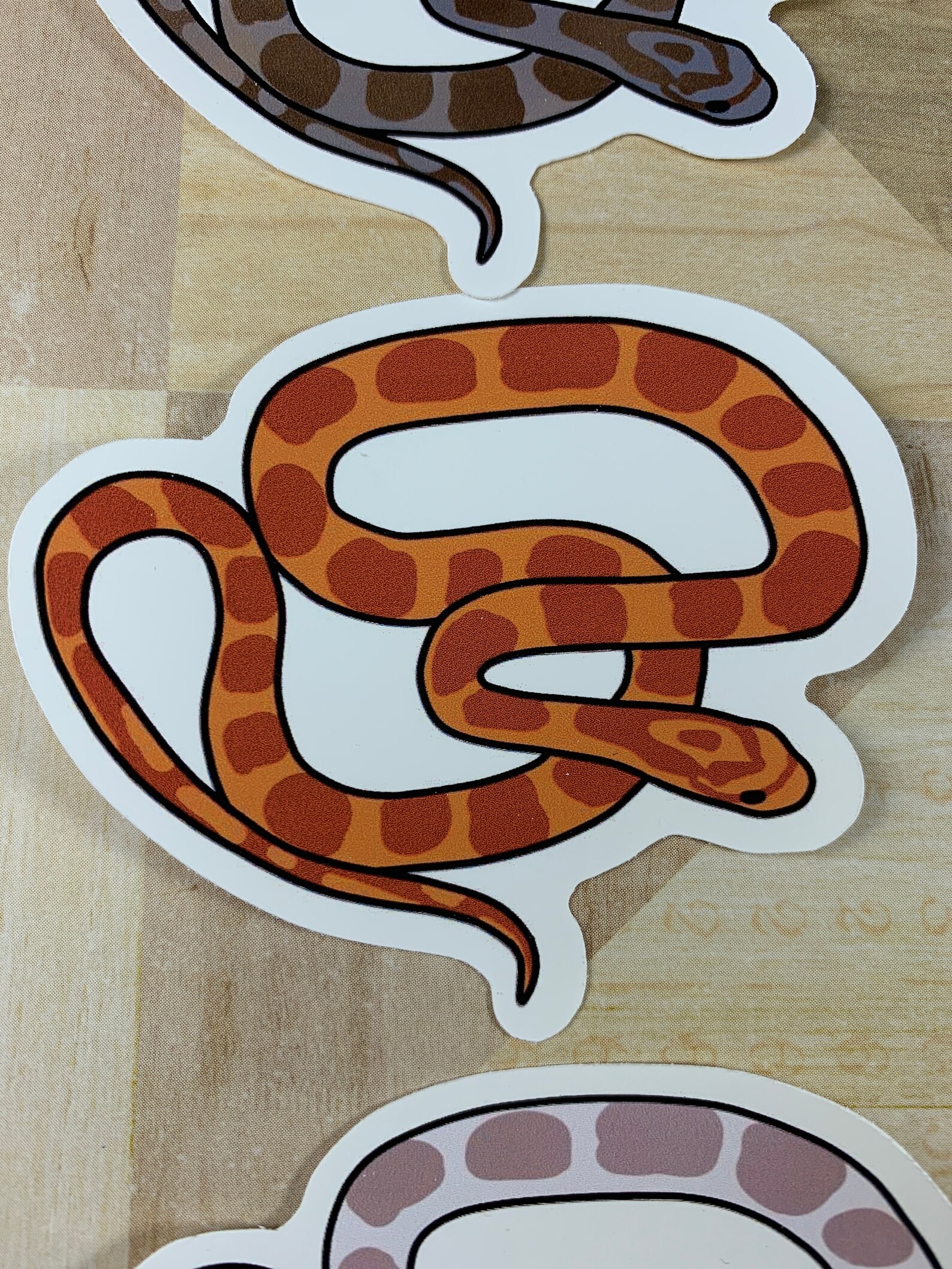 6 pcs Snake Stickers Hognose Stickers Corn Snake Stickers | Etsy
