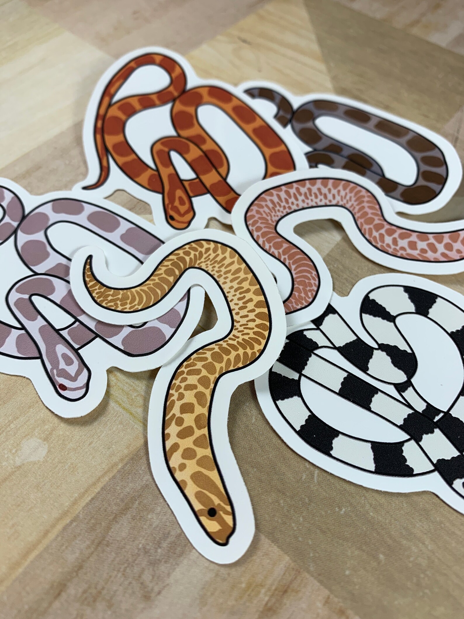 6 pcs Snake Stickers Hognose Stickers Corn Snake Stickers | Etsy