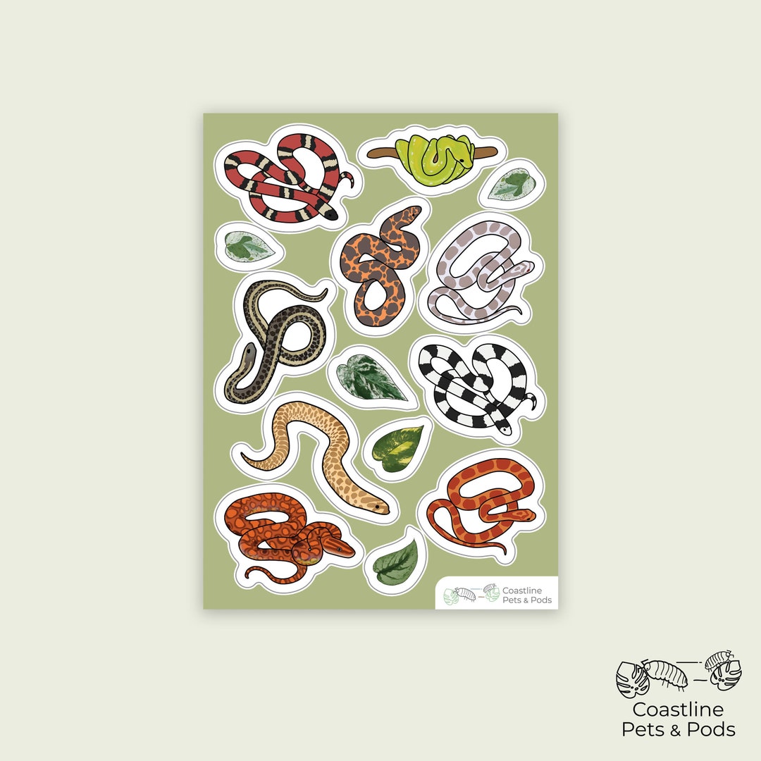 1 Pc - Vinyl Snake Sticker Sheet, Green Tree Python, Kenyan Sand Boa ...