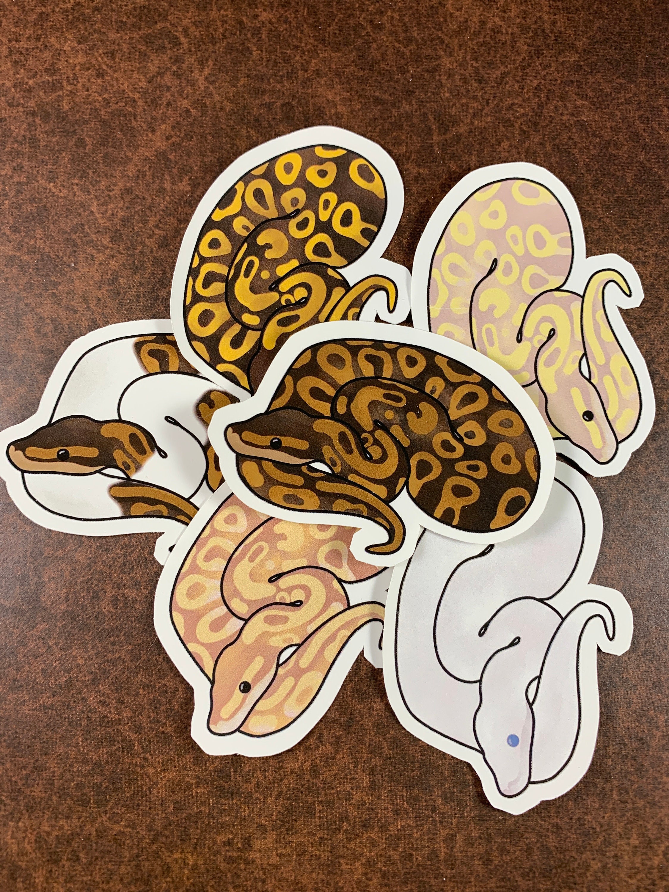 6 pcs Ball Python Stickers Ball Python Decal Snake | Etsy