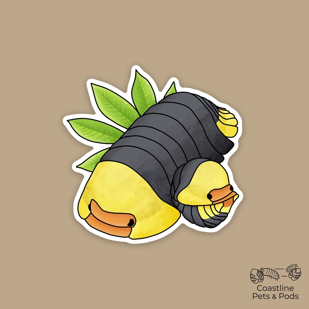 1 Pc - Vinyl Rubber Ducky Isopod Sticker, Roly Poly Crew, Pillbug Art ...
