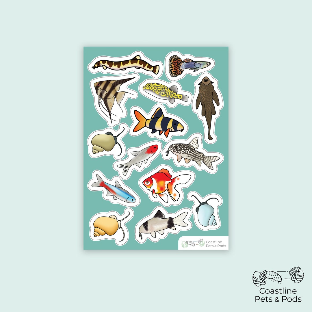 1 Pc - Vinyl Freshwater Fish Sticker Sheet, Aquarium Decals, Loach ...