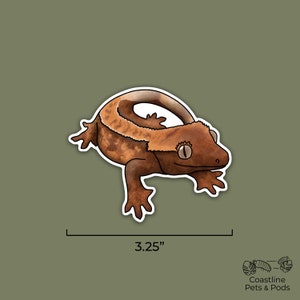 1 Pc - Vinyl Crested Gecko Sticker, Crested Gecko Decal, Gecko Stickers ...