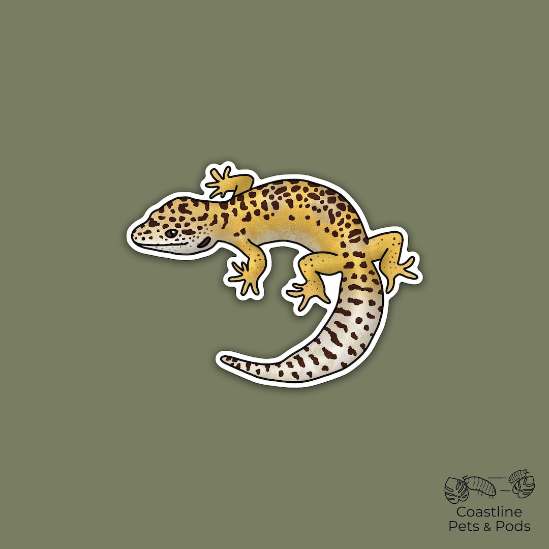 1 Pc - Vinyl Leopard Gecko Sticker, Gecko Lover Gifts and Decals ...