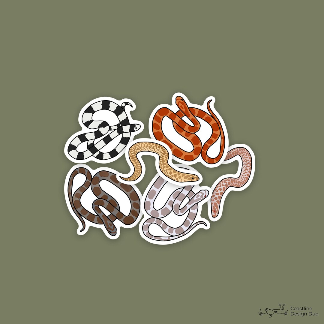 6 Pcs Weatherproof Snake Stickers, Hognose Stickers, Corn Snake ...
