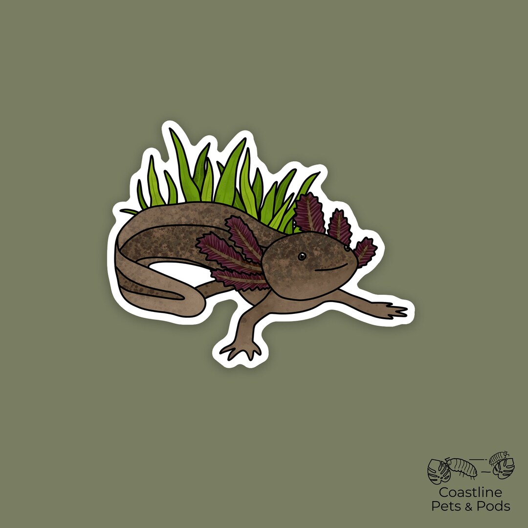 1 Pc - Vinyl Brown Axolotl Sticker, Cute Axolotl Art, Gifts for ...