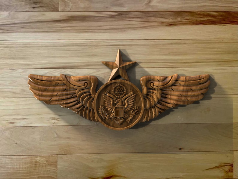 Air Force Enlisted Aircrew Badge - Etsy