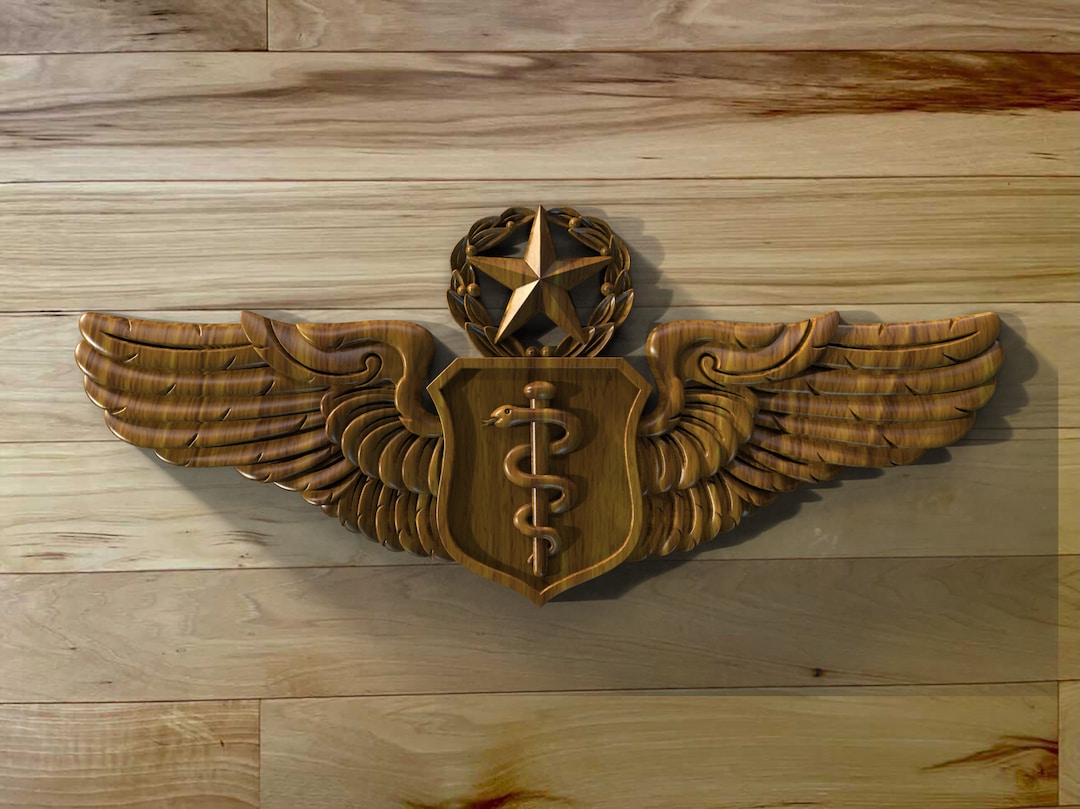 Air Force Flight Surgeon Badge - Etsy