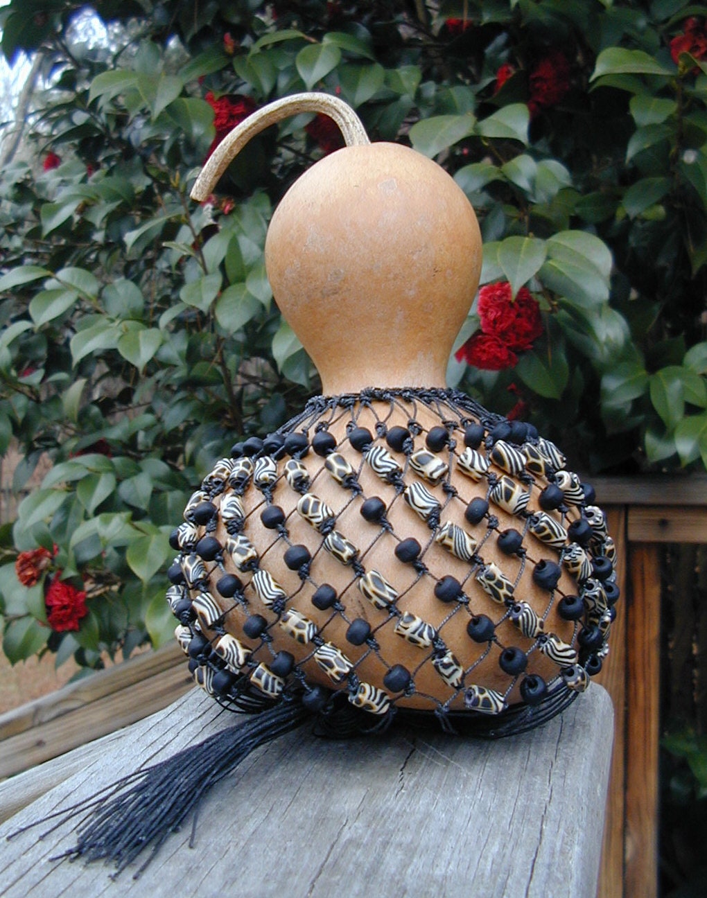 Gourd Shekerie shekere Tutorial. How to Make a Classic - Etsy