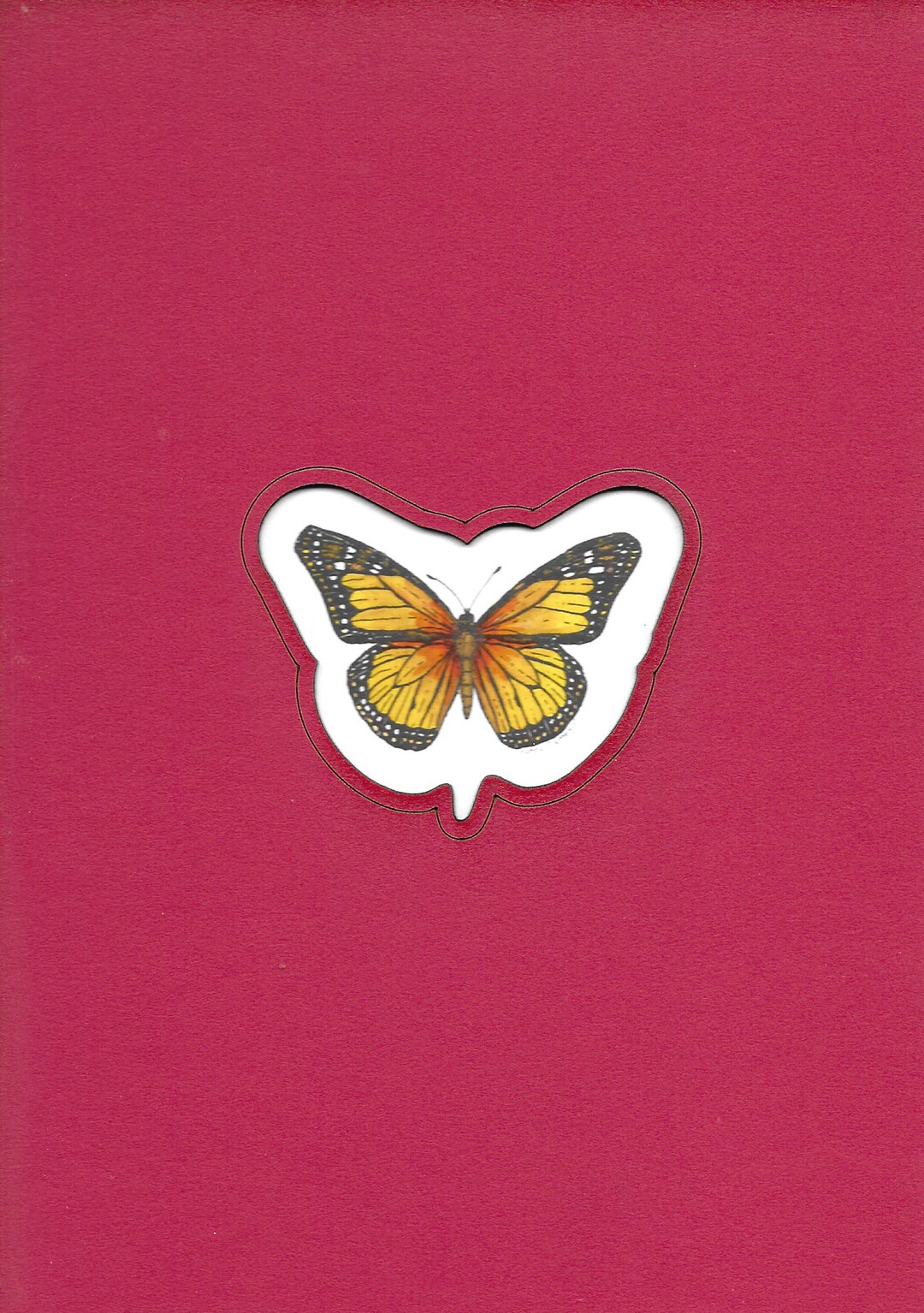 Hand-colored Monarch Butterfly Pen & Ink Print, Custom Cut 5x7 Mat ...