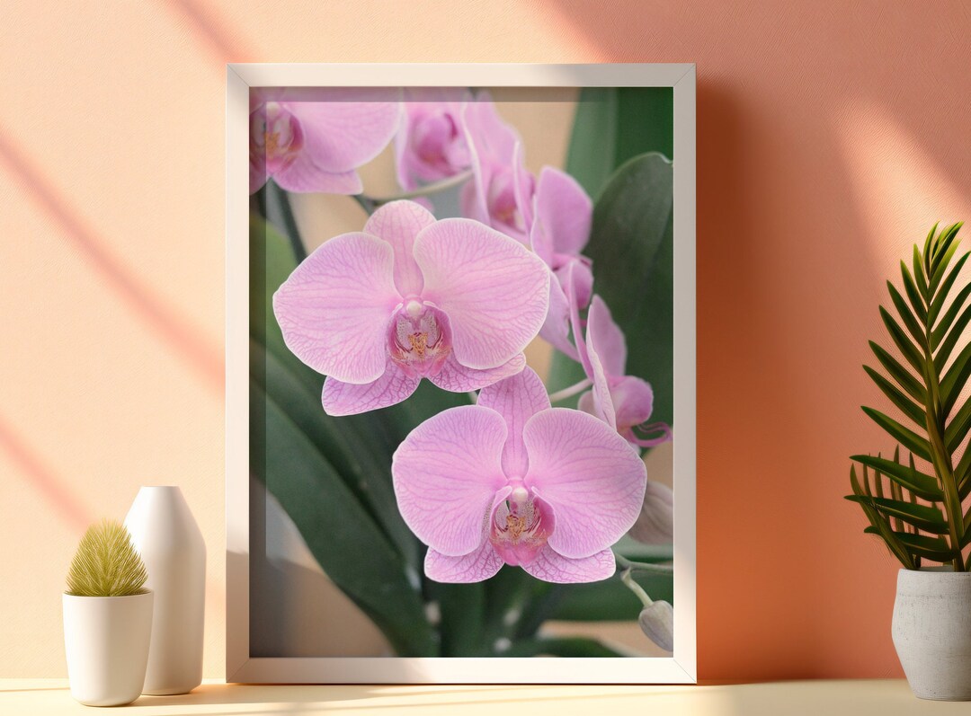 Printable Orchid Photo, Flower Photography Printable, Bundle 5 JPG ...