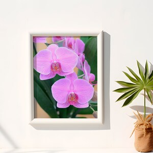 Printable Orchid Photo, Flower Photography Printable, Bundle 5 JPG ...