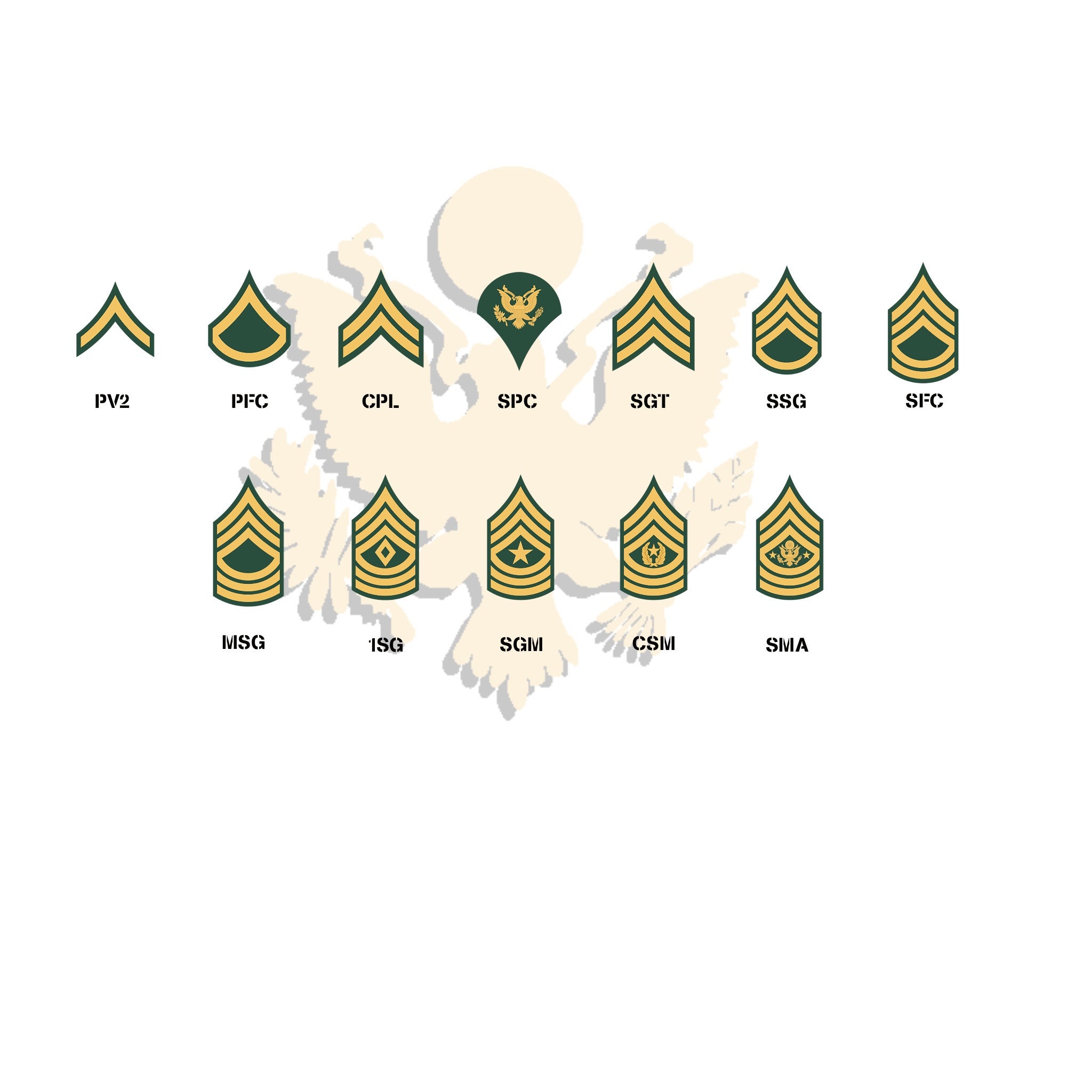 Procreate US Army Enlisted Stamps - Etsy