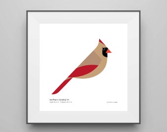 Cardinal Art Print / Field Guide / Bird Poster / Songbird / - Etsy