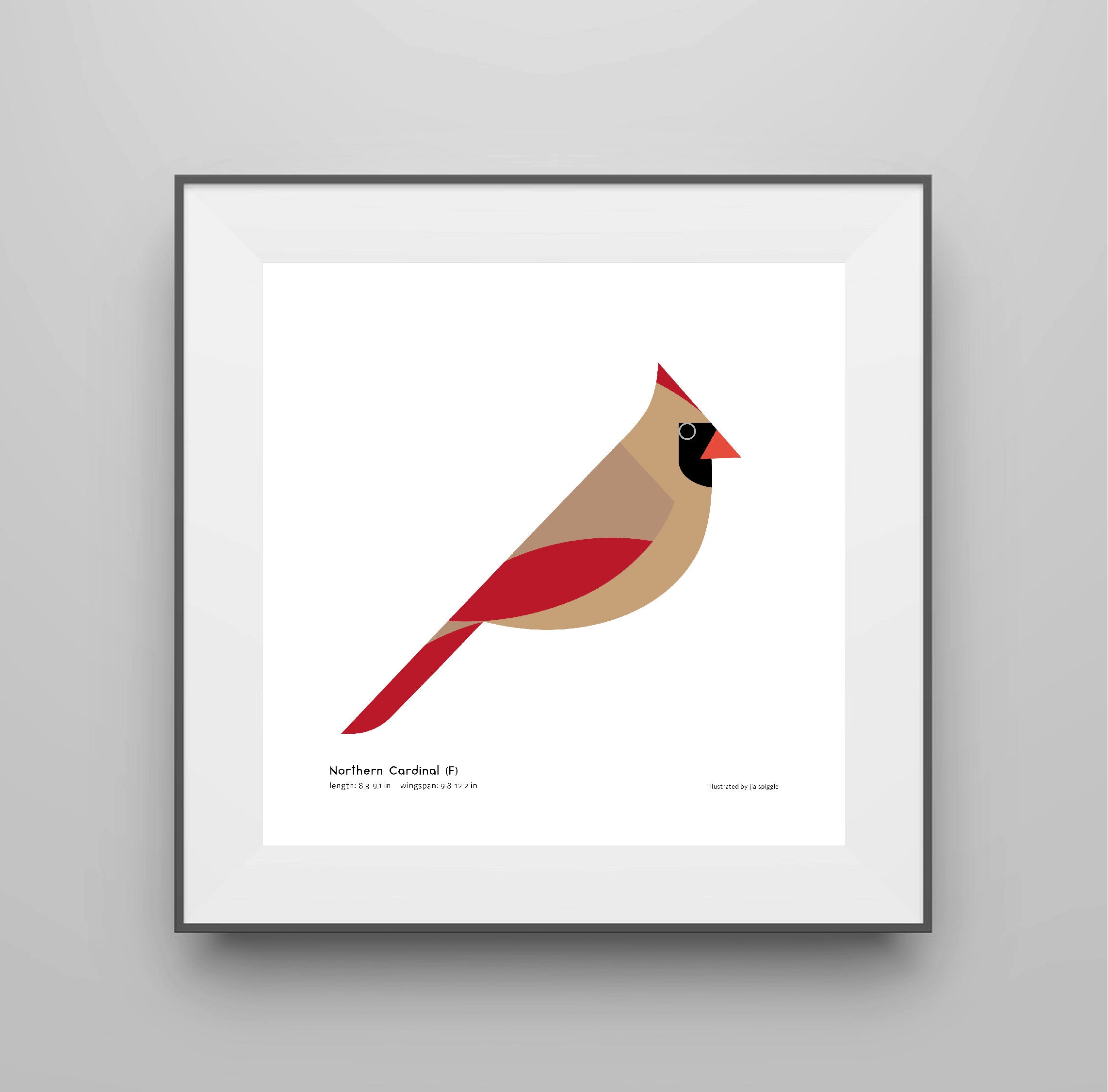 Female Cardinal Art Print / Field Guide / Bird Poster / Modern Nature ...