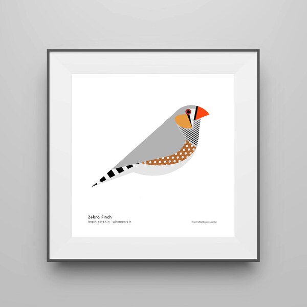 Zebra Finch - Etsy