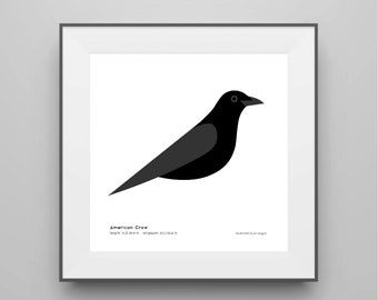 Cardinal Art Print / Field Guide / Bird Poster / Songbird / - Etsy