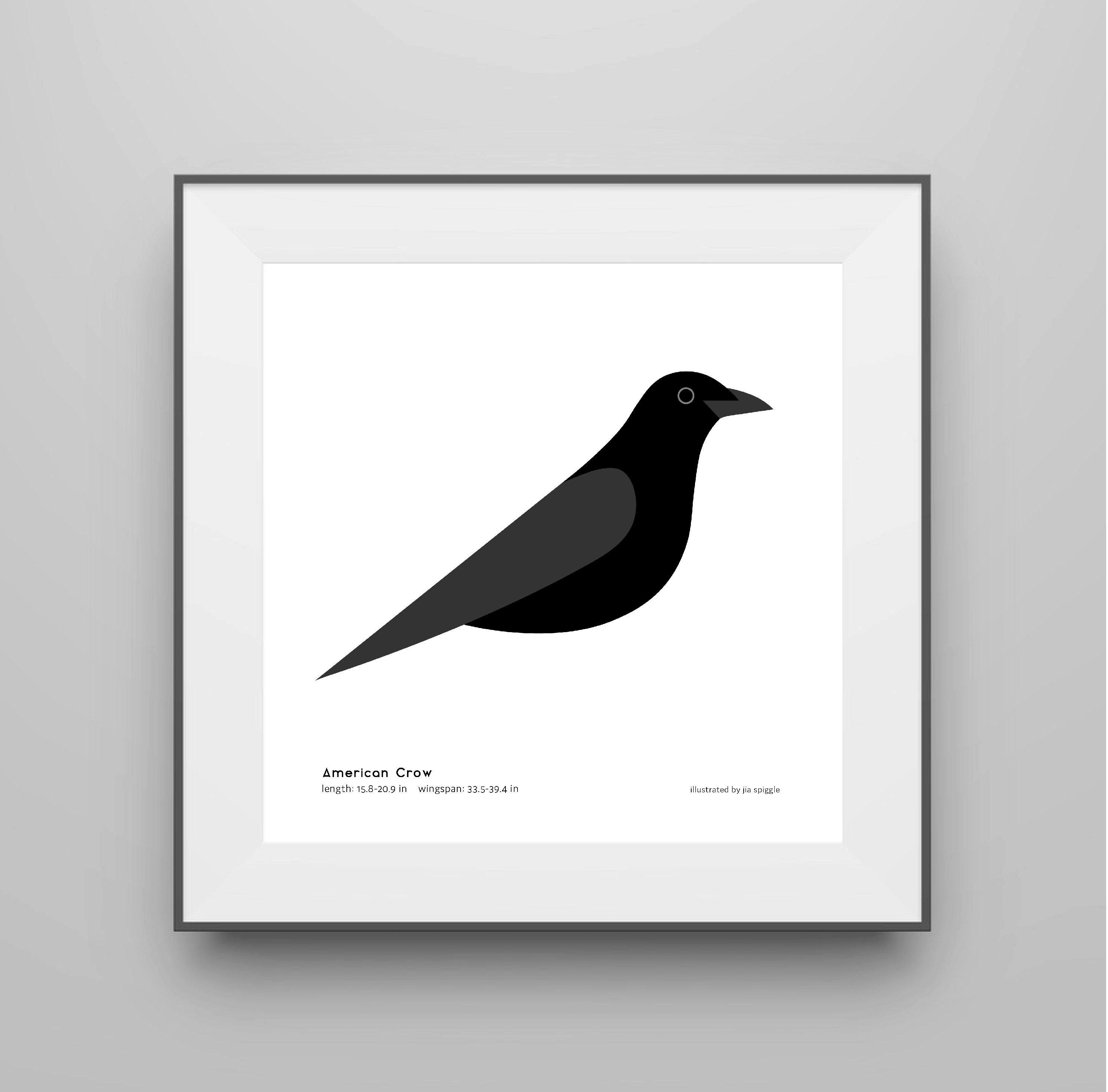 American Crow Art Print / Field Guide / Bird Poster / Bird Illustration ...
