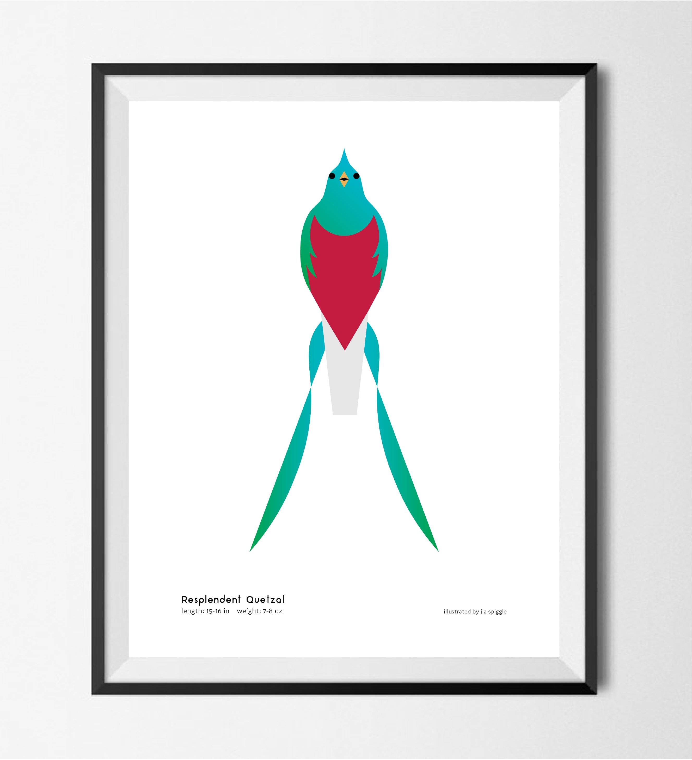 Resplendent Quetzal Art Print / Bird Illustration / Graphic | Etsy