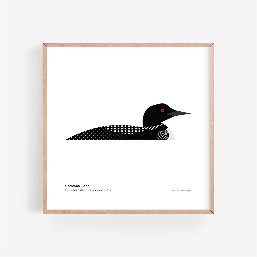 Common Loon Art Print | Modern Minimalist Bird Illustration | Giclée ...