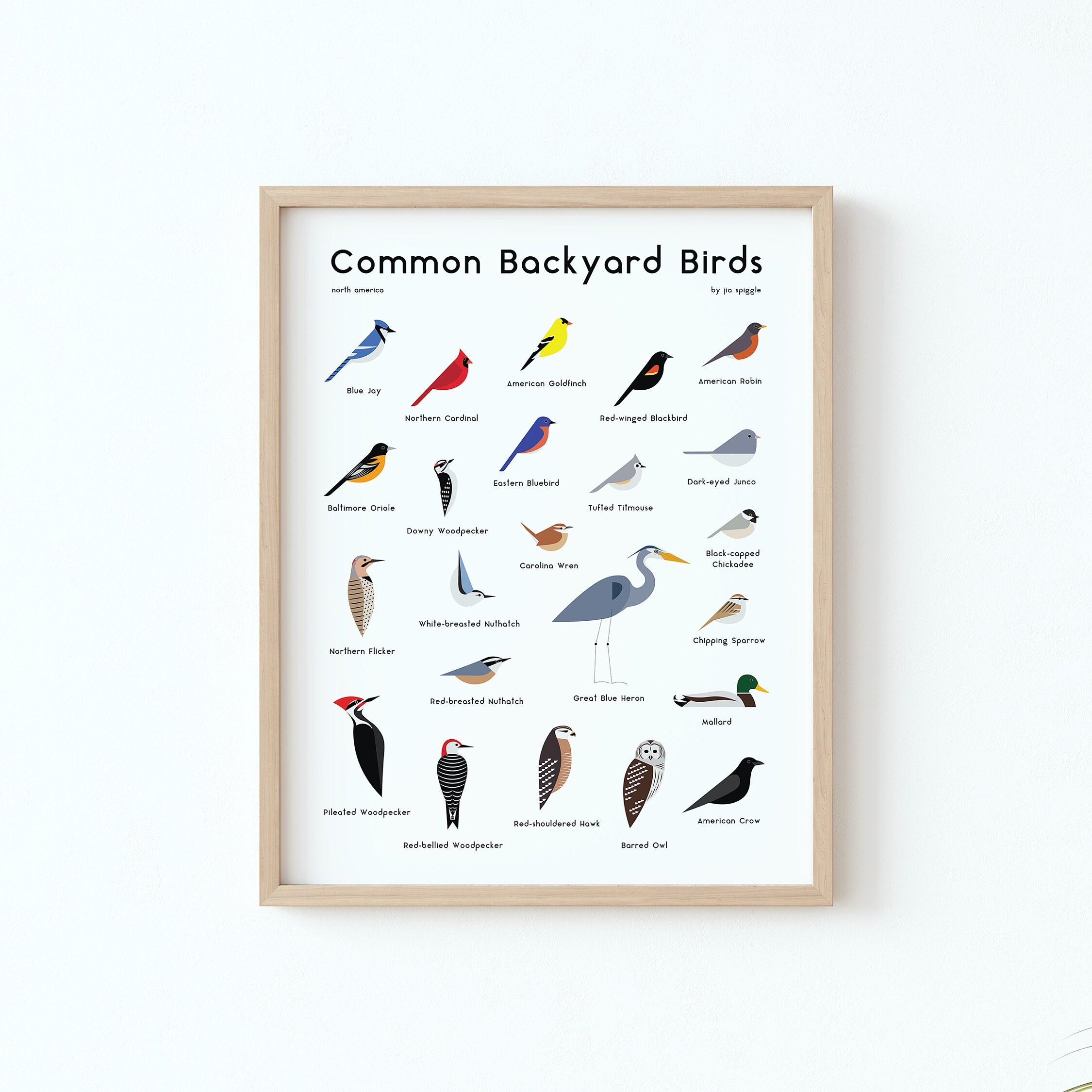 Common Backyard Birds Poster / North America / Nature Illustration ...