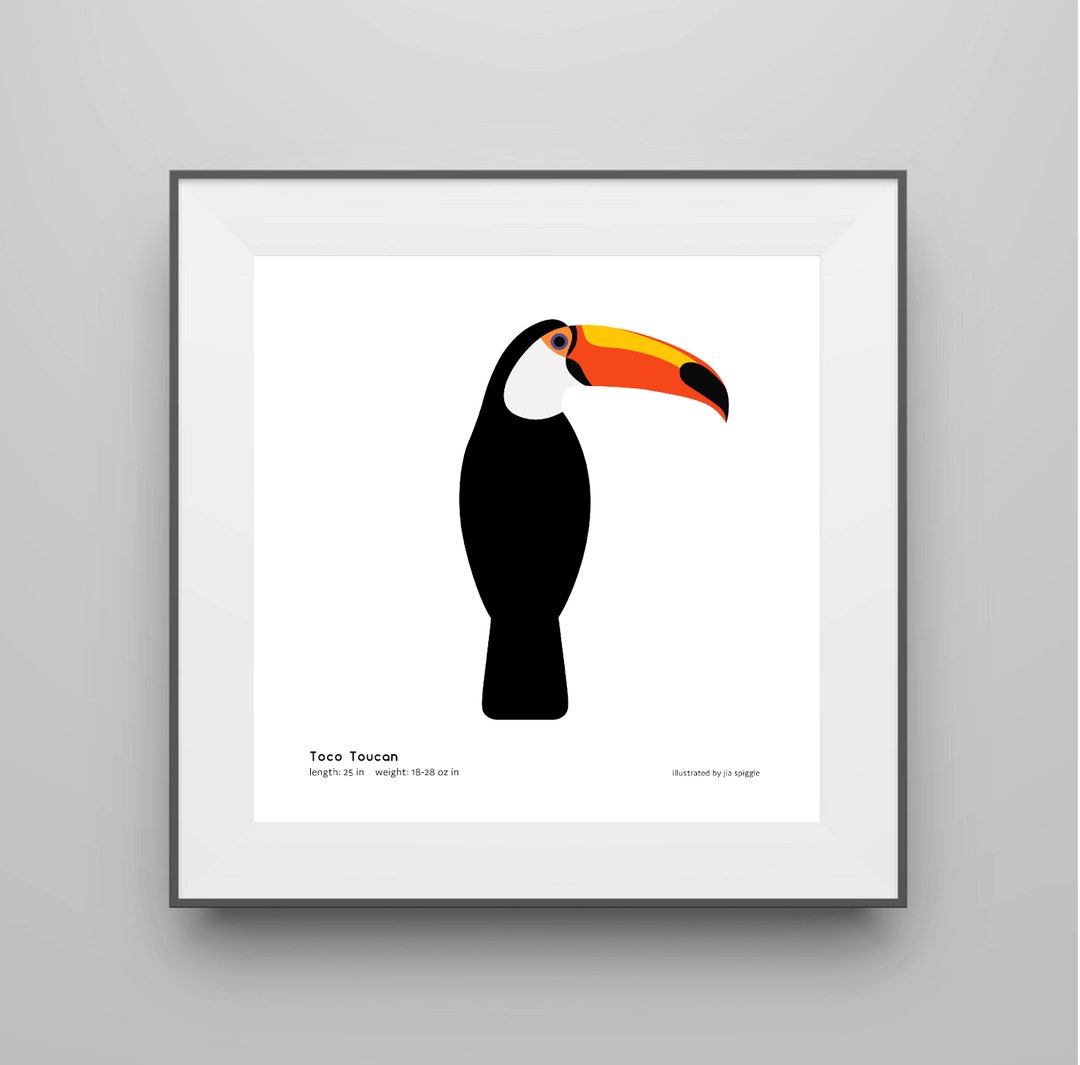 Toco Toucan Art Print / Field Guide / Bird Poster / Bird Illustration ...