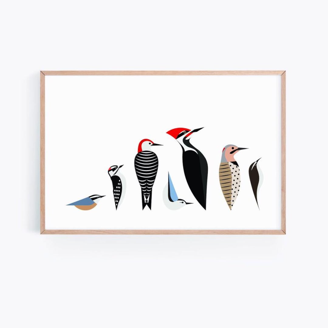 Tree Clinging Birds Giclée Print | Modern Minimalist Bird Illustration ...