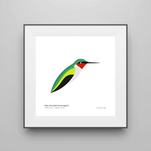 Ruby-throated Hummingbird Art Print / Field Guide / Modern - Etsy