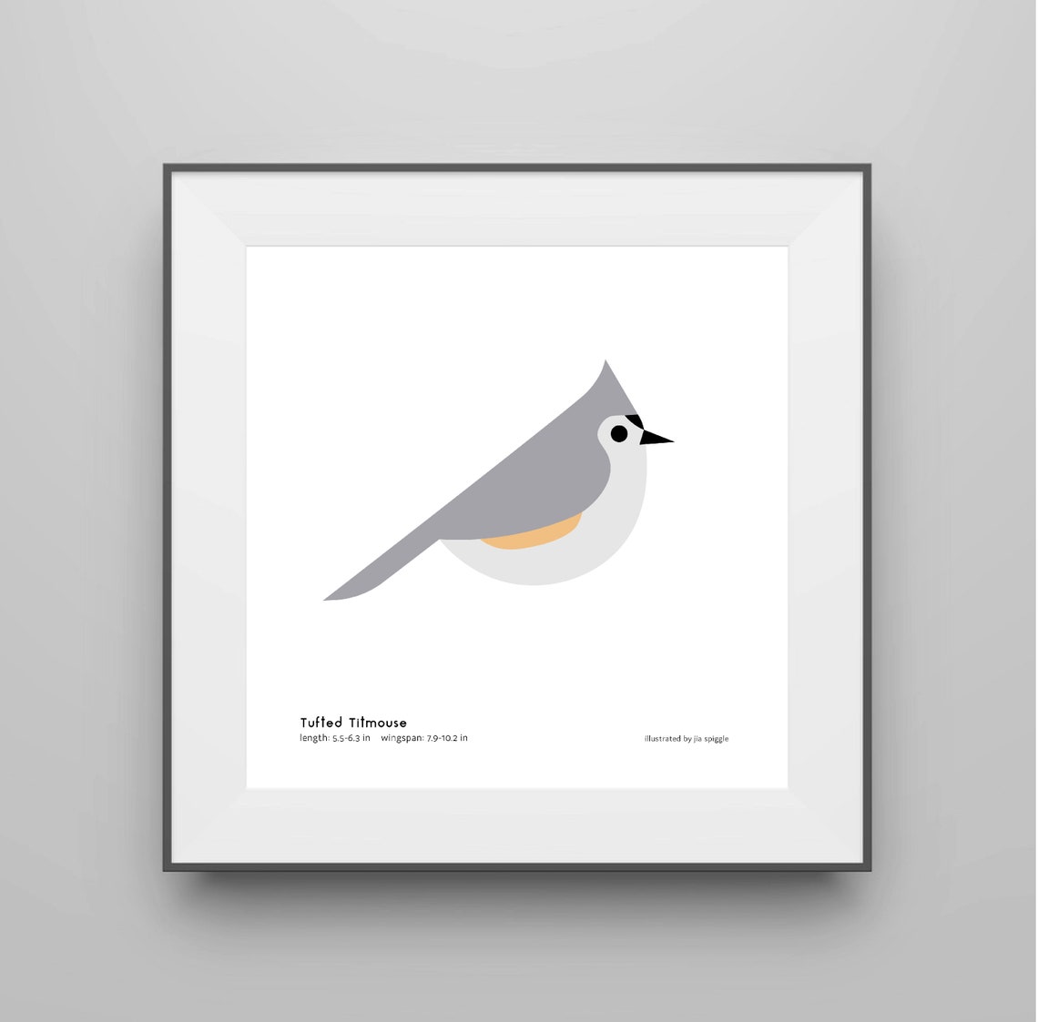 Tufted Titmouse Art Print / Field Guide / Bird Poster / Bird | Etsy