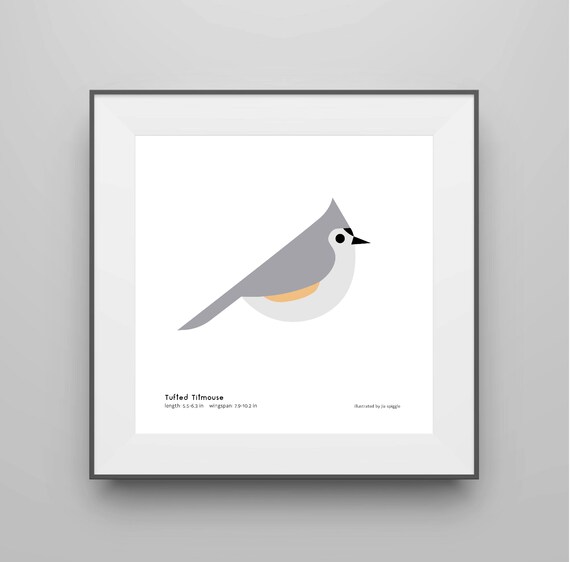 Tufted Titmouse Art Print / Field Guide / Bird Poster / Bird | Etsy