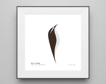 Cardinal Art Print / Field Guide / Bird Poster / Songbird / - Etsy