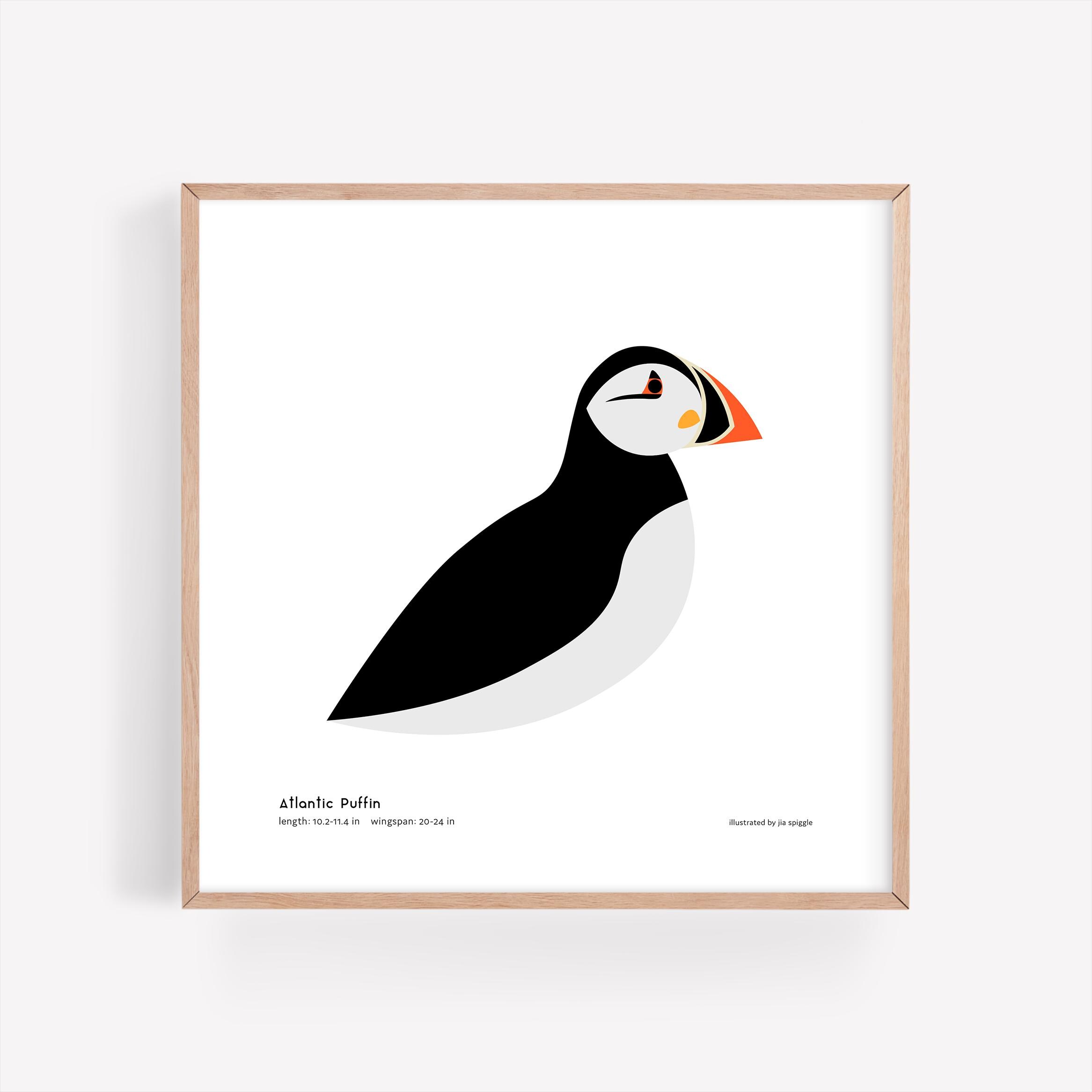 Atlantic Puffin Art Print: Minimalist Bird Illustration - Etsy