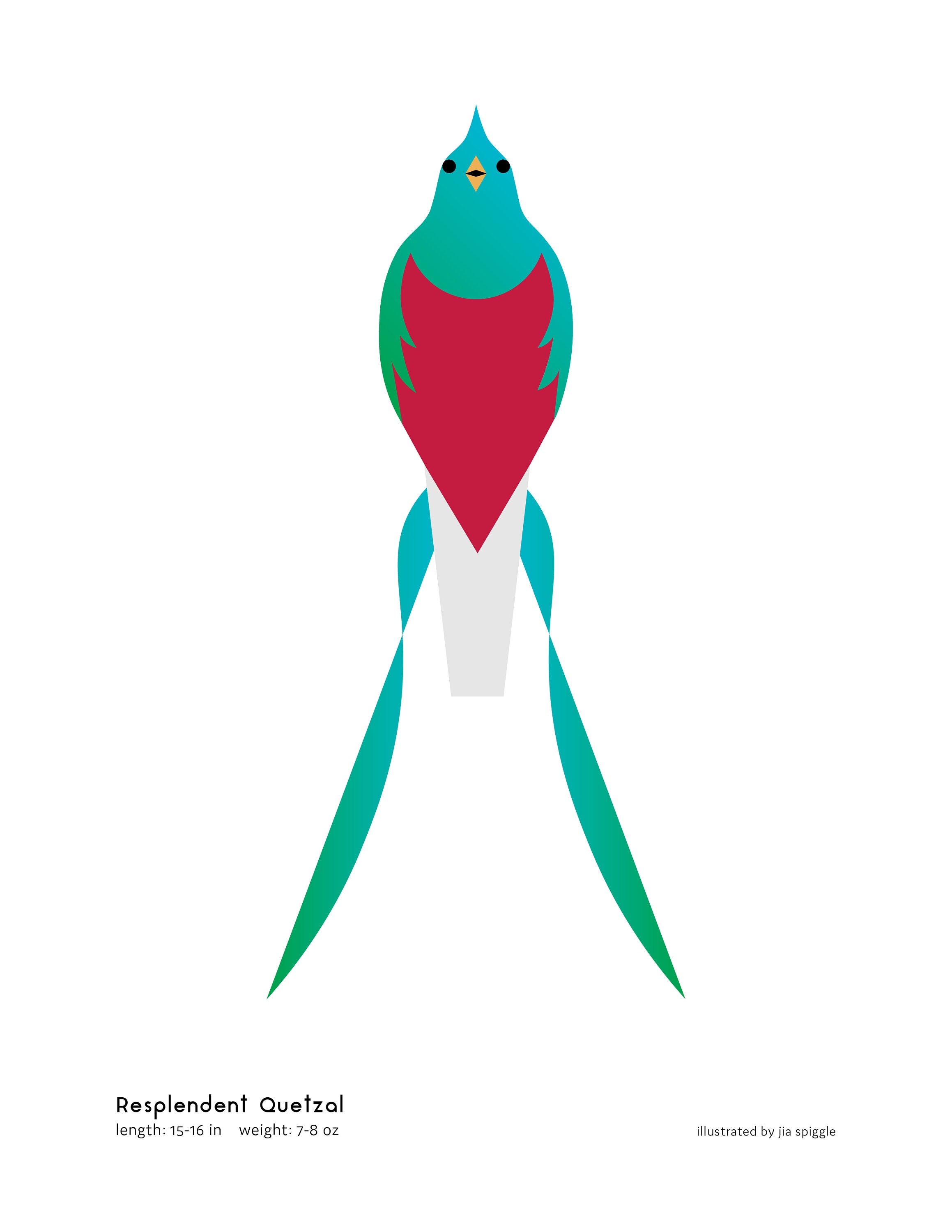Resplendent Quetzal Art Print / Bird Illustration / Graphic | Etsy