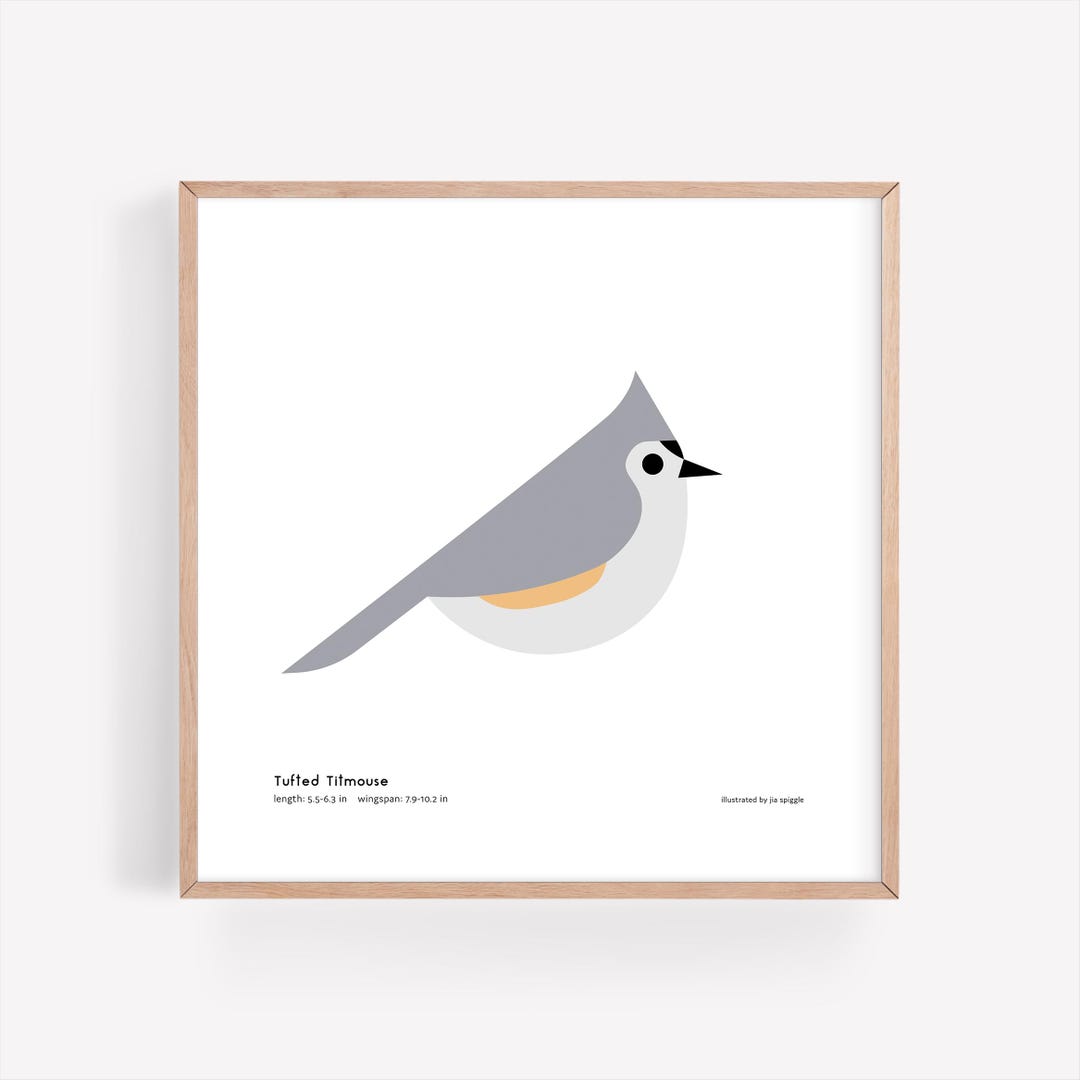 Tufted Titmouse Art Print / Field Guide / Bird Poster / Bird ...