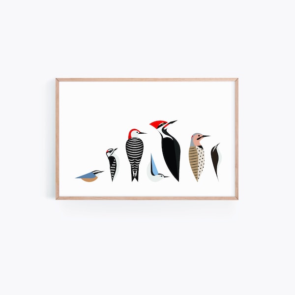 Bird Poster - Etsy
