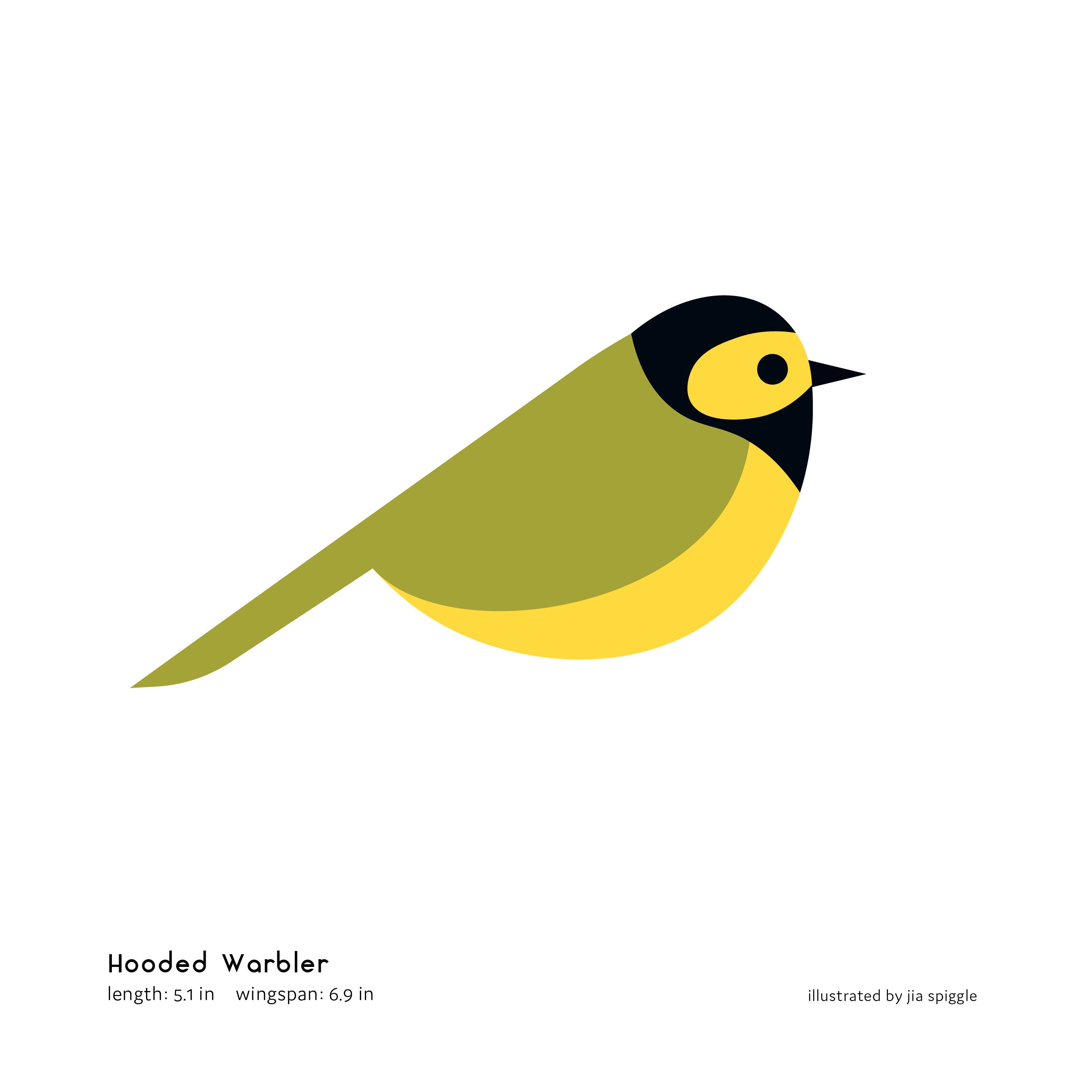 Hooded Warbler Art Print / Field Guide / Bird Poster / Bird - Etsy