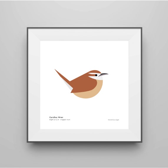 Carolina Wren Art Print / Field Guide / Bird Poster / Bird | Etsy