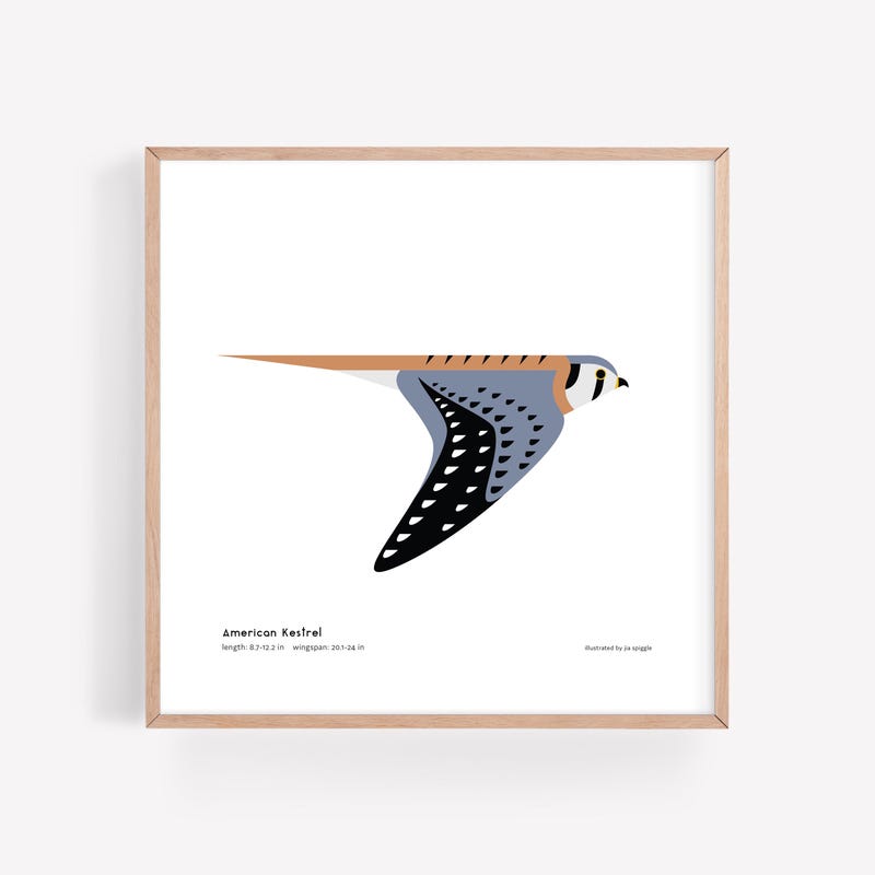 Kestrel Print - Etsy