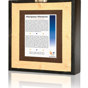 Mariposa Viceroy-viceroy México Butterfly Frame Paper, Mexican Art ...
