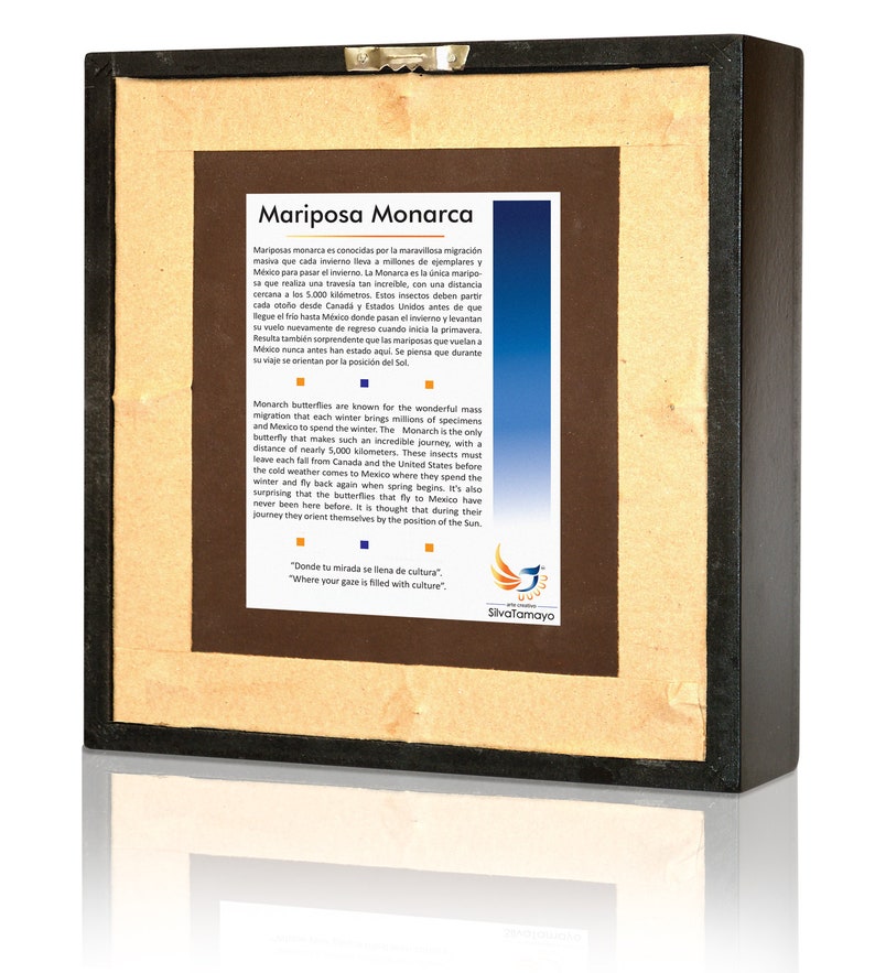 Mariposa Virrey-viceroy Mexico Butterfly Frame Paper | Etsy