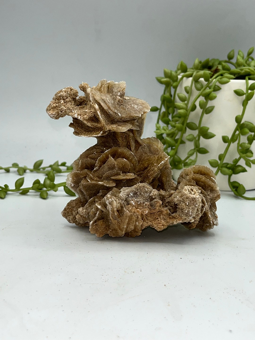 Selenite Desert Rose From Morocco. Sand Rose, Sahara Rose, Rose Rock ...