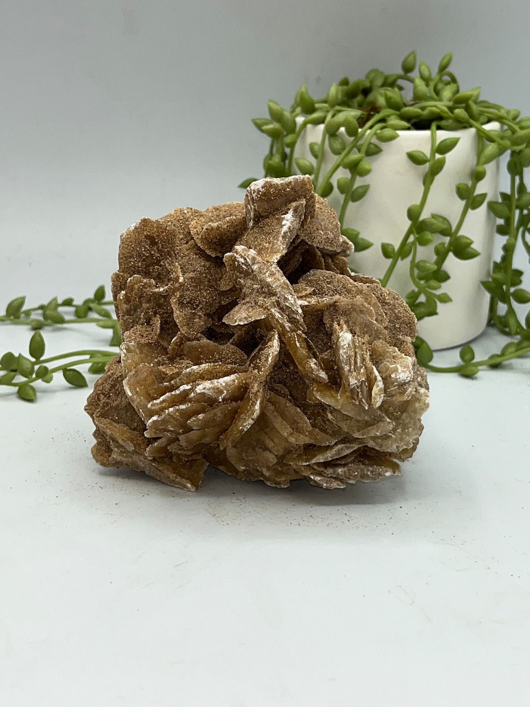 Selenite Desert Rose From Morocco. Sand Rose, Sahara Rose, Rose Rock ...