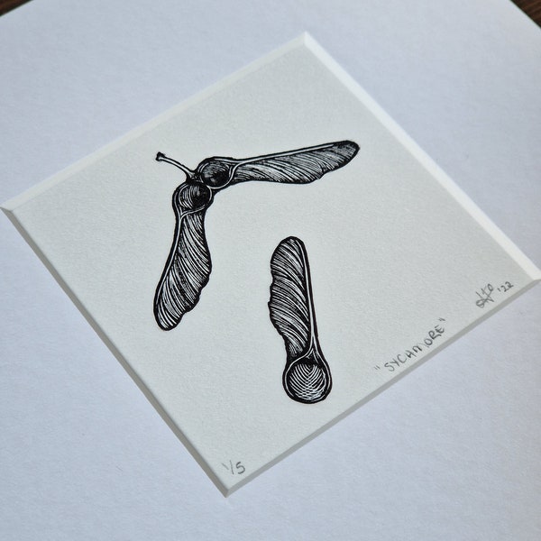 Sycamore Tree - Etsy UK