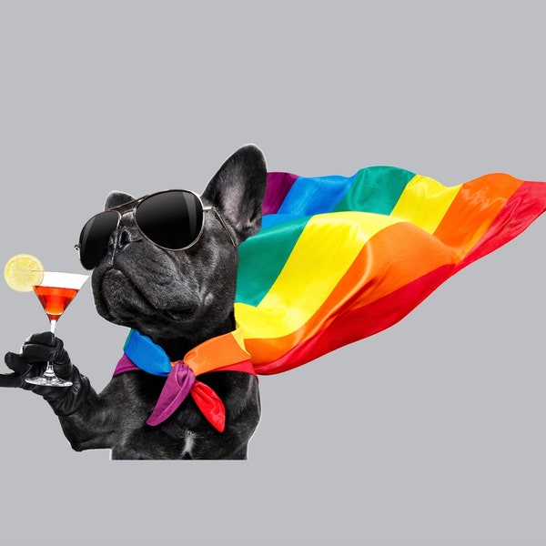 Gay Pride Dog - Etsy