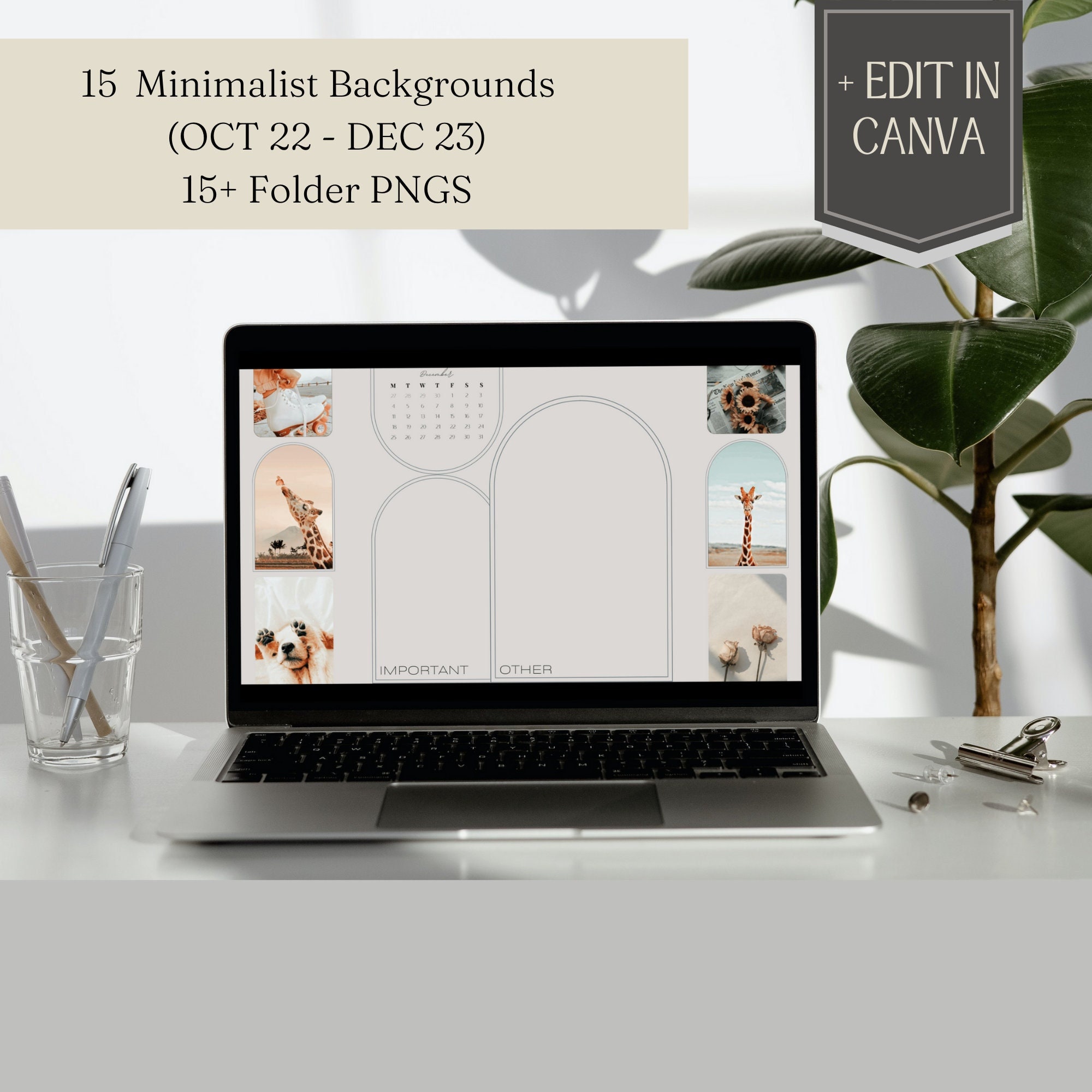 15 OCT 22 DEC 2023 Minimalist Design ready to Use Desktop Organizer ...