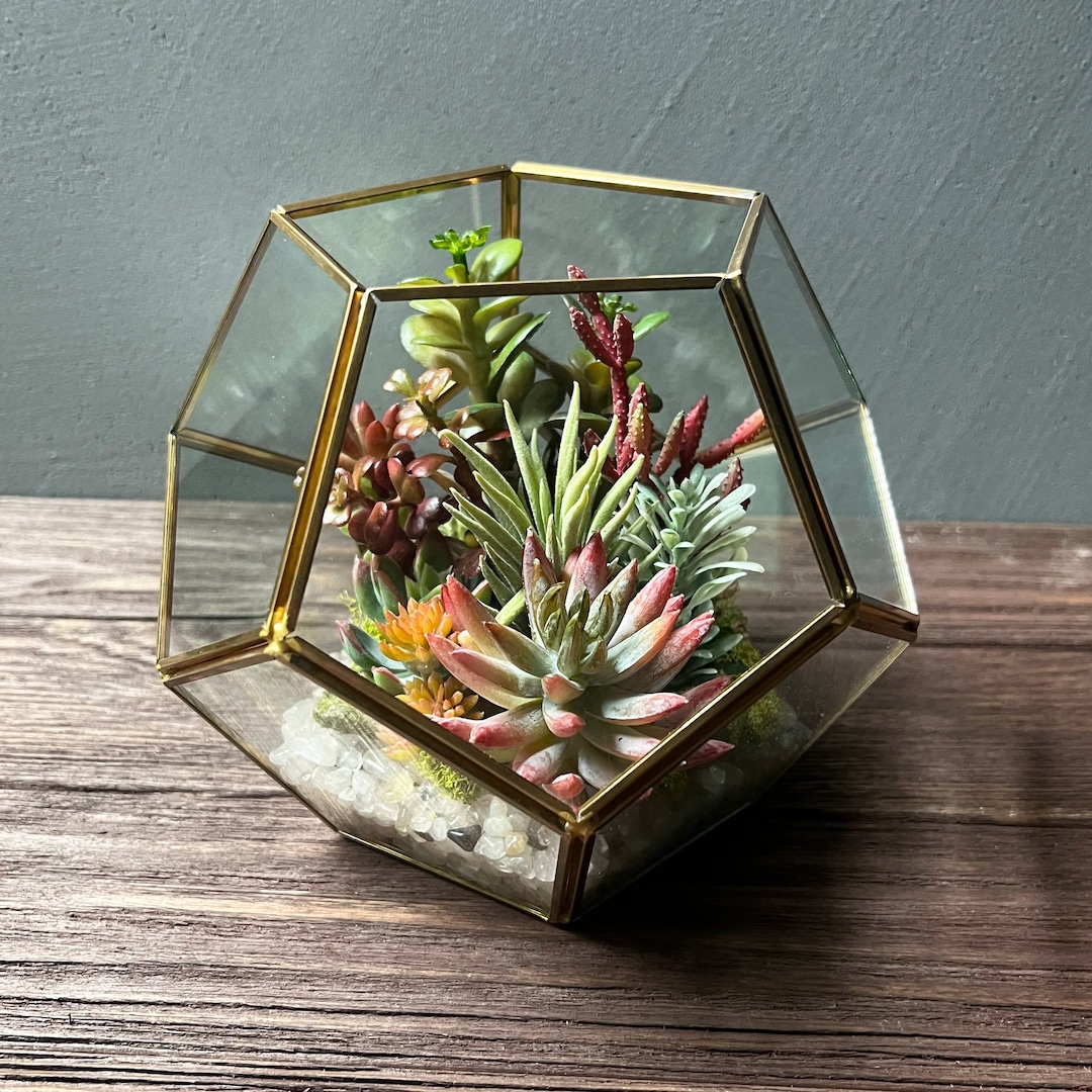 Glass Terrarium, Antique Gold Geometric Hexagon, Rose Quartz ...
