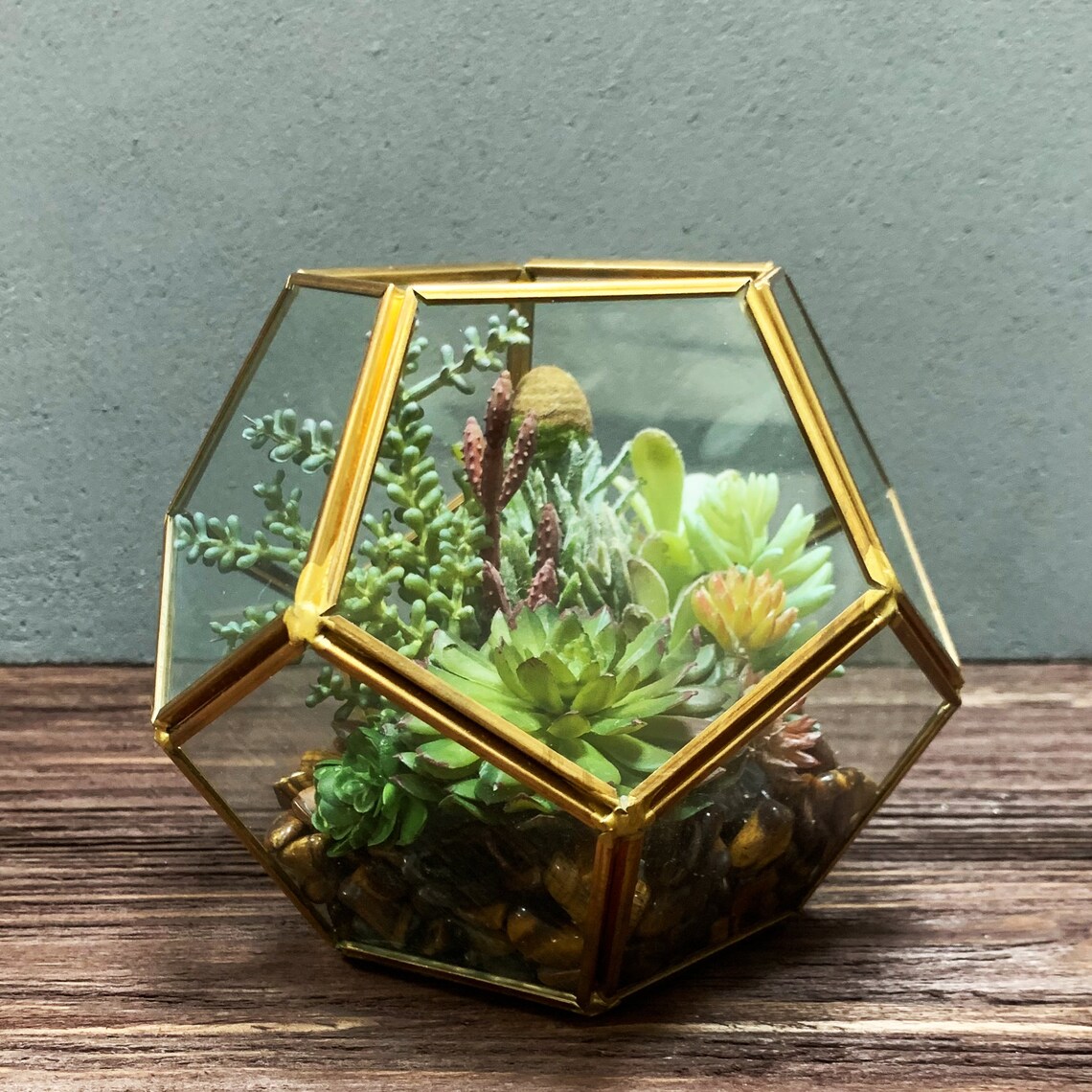Glass Terrarium Antique Gold Geometric Hexagon Tiger's - Etsy
