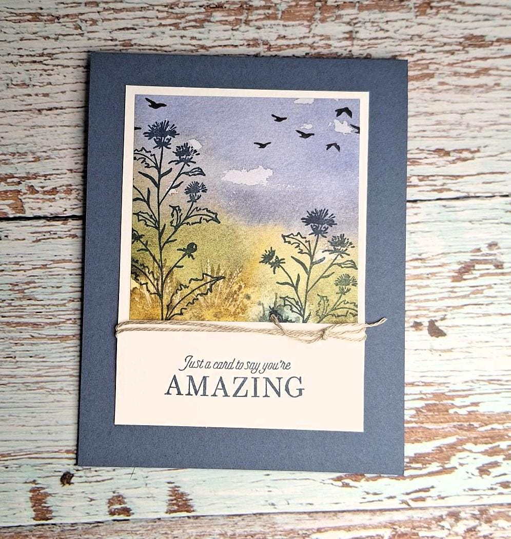 You're Amazing! Card to Use for Any Occasion: Thank You, Love You ...
