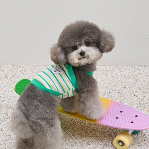 Attention Crop Top Dog Shirt Top Dog Clothes Dog Clothing Puppy Clothes ...